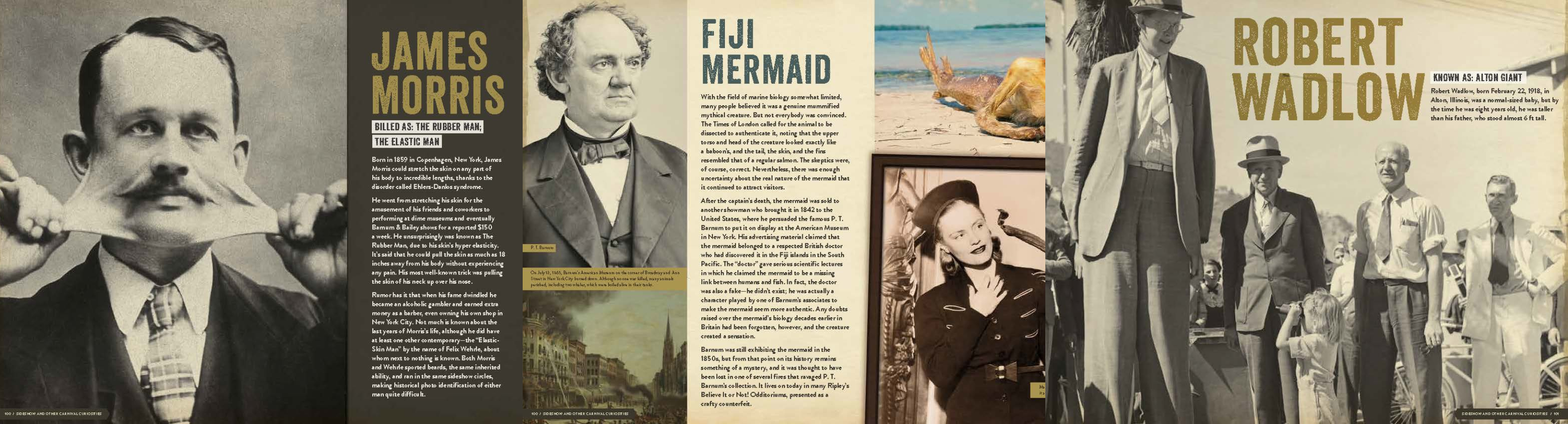 Explore Sideshow Curiosities with Book of True Stories and Fascinating ...